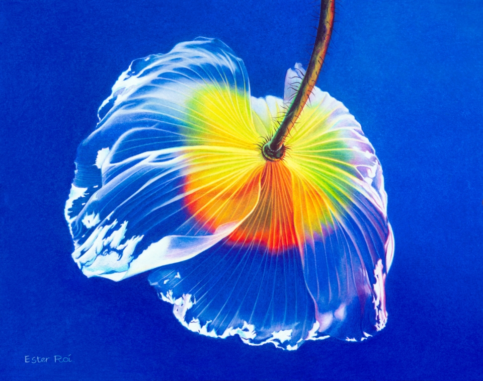 Ester Roi | Artwork | Flowers & Water